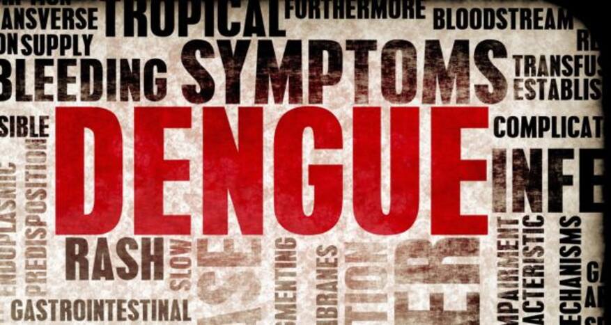 World Health Day 2014: Symptoms of dengue you should know (Gallery ...