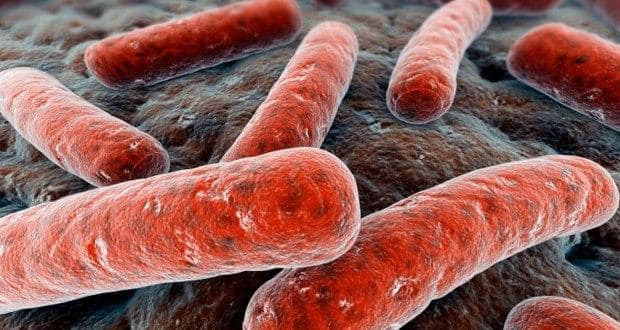 Treatment + preventive measures to tackle intestinal infection due to E ...