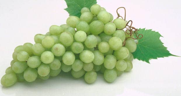 Healthy recipes: Grapes and walnut dip | TheHealthSite.com