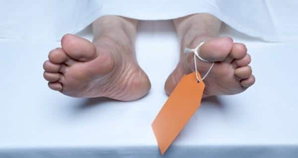 Cadaver and organ donation -- things you need to know | TheHealthSite.com