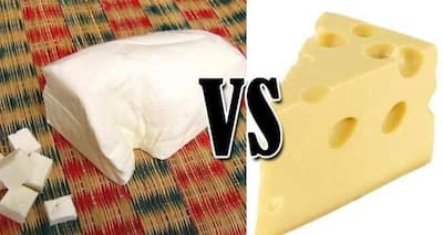 Paneer VS Cheese - Which is healthier? | TheHealthSite.com
