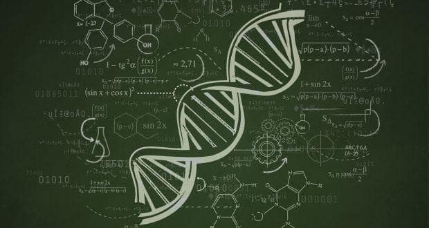 A sweet tooth is genetic | TheHealthSite.com