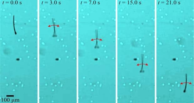 Brobots - tiny robots which resemble sperm to revolutionize healthcare ...