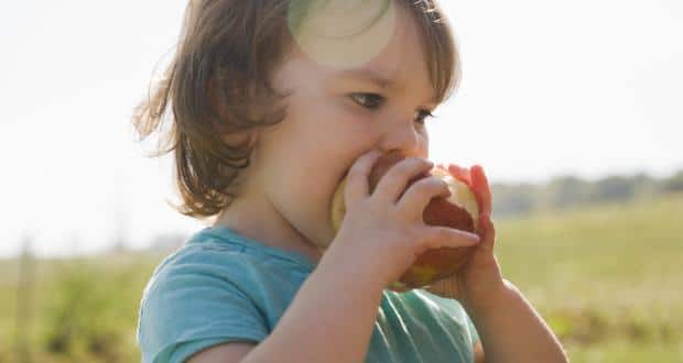 Diet Tip #12: Eat an apple daily to improve your memory | TheHealthSite.com
