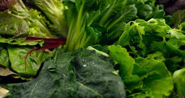 Eat leafy vegetables to relieve constipation | TheHealthSite.com