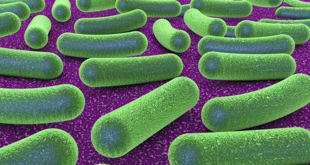 What is Urinary Tract Infection (UTI)? | TheHealthSite.com