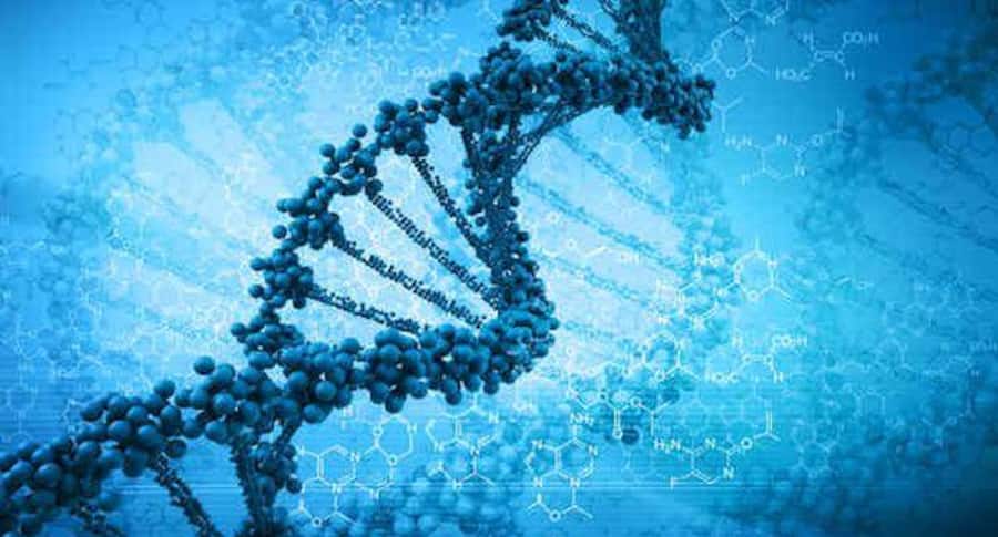 Jumping genes key to evolution of human genome | TheHealthSite.com