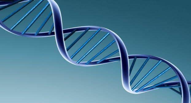 Are genes really responsible for ailments? | TheHealthSite.com