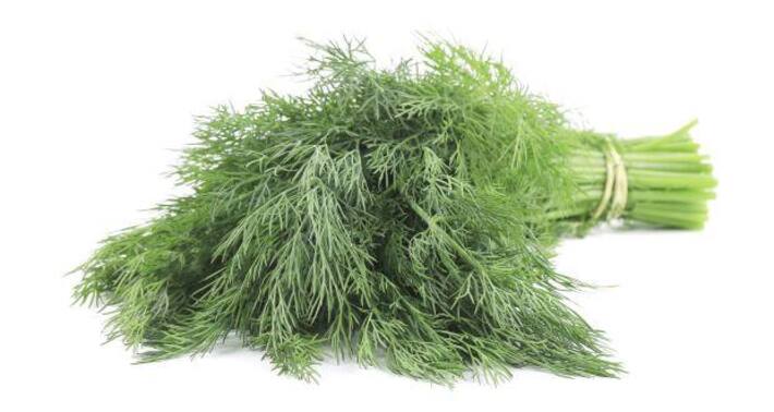 Have you heard about these health benefits of dill leaves ...