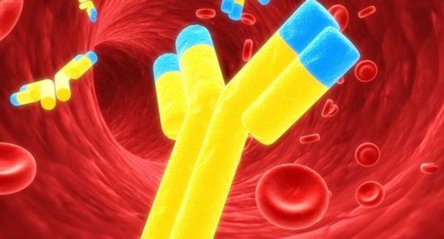 Plant compound CDDO may supress lupus disease | TheHealthSite.com