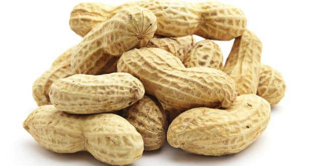 Are peanuts good for heart health? | TheHealthSite.com