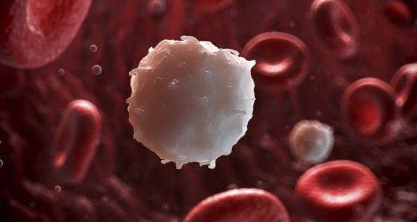 3 types of blood related cancers you should know about | TheHealthSite.com