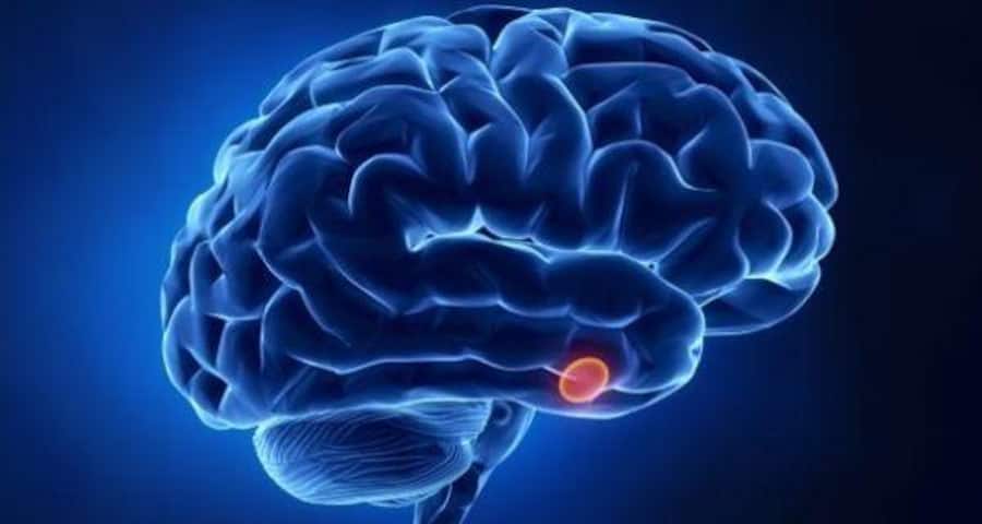 Want to control negative emotions? Train your brain for it ...