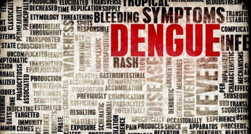 11 symptoms of dengue you should know about | TheHealthSite.com