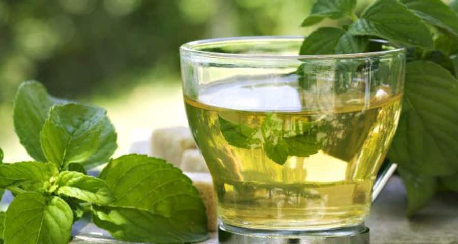 6 side-effects of green tea you should know about | TheHealthSite.com