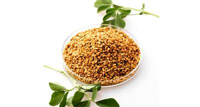 Fenugreek or Methi -- a complete how-to guide to use it for better ...