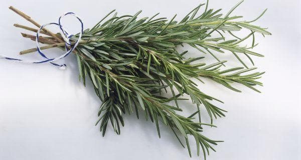 8 reasons to add rosemary to your diet | TheHealthSite.com
