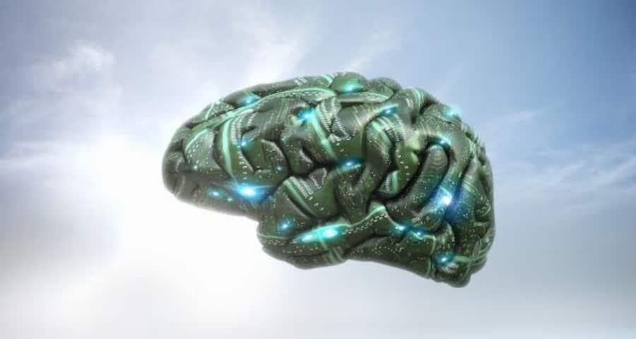 Revealed -- distraction does not affect learning process ...