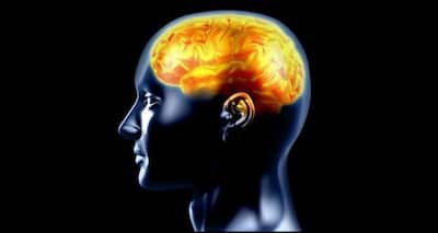 Aggressive people have smaller emotional brains | TheHealthSite.com