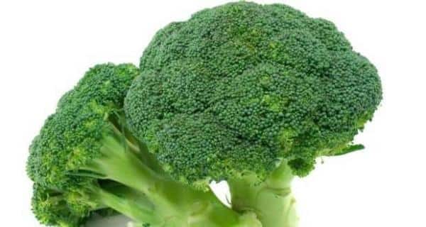 10 ways to include broccoli in your diet | TheHealthSite.com
