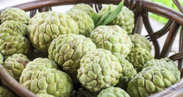 Sitaphal or custard apple -- natural dandruff fighter | TheHealthSite.com