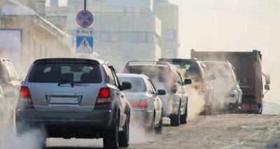Revealed -- how diesel pollution causes respiratory problems ...