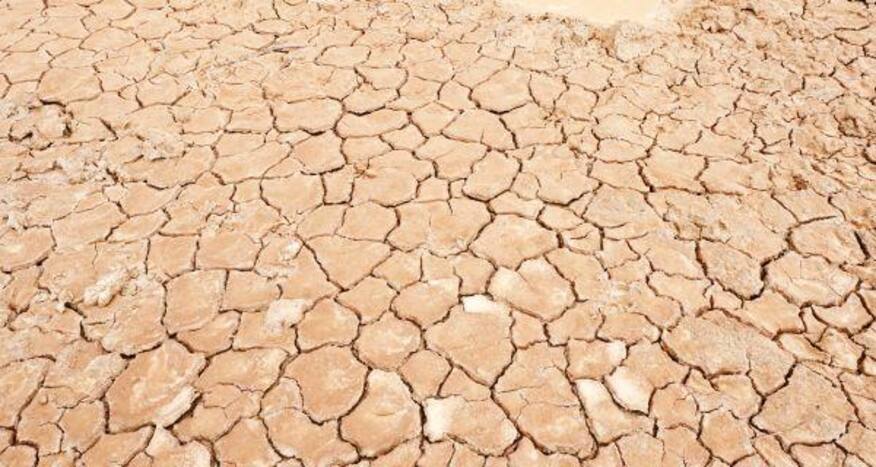 6 things that interfere with your digestion | TheHealthSite.com