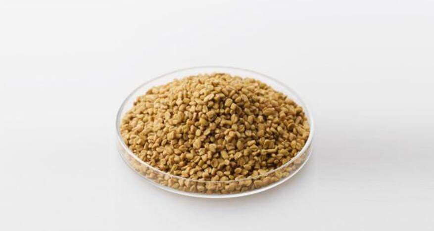 15 healthy reasons to eat methi or fenugreek | TheHealthSite.com