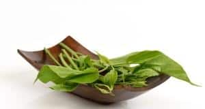 Gymnema Sylvestre: Health Benefits, Uses And Side Effects Of Gurmar ...