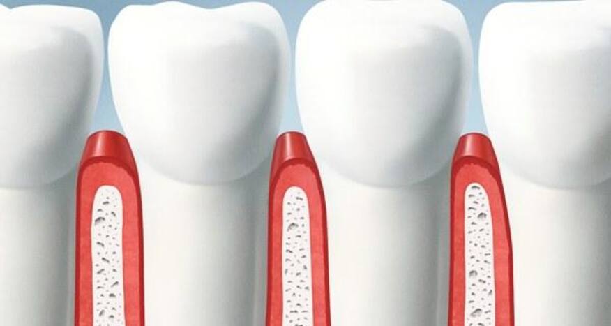 Daily Health Tip: 10 facts about your teeth you have never heard before ...