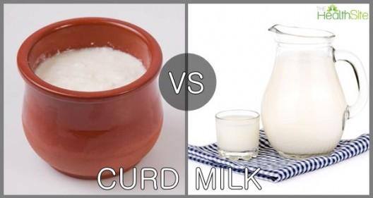 Milk or Curd – which is healthier? | TheHealthSite.com