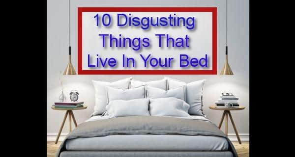 You will be scared to hit the bed after watching this! | TheHealthSite ...
