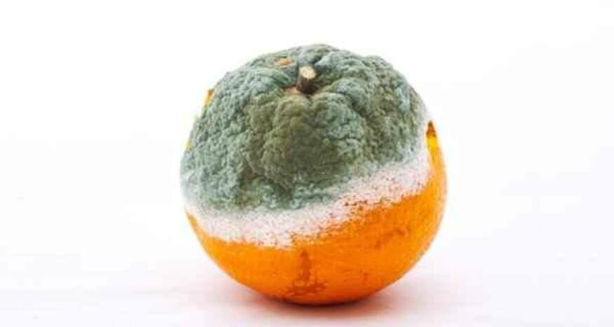 How healthy are you? Tell by the colour of your poop! | TheHealthSite.com