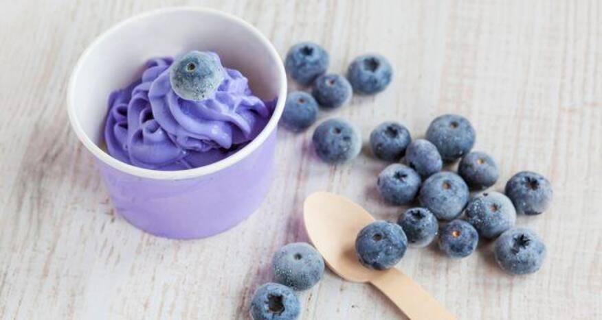 5 healthy frozen yogurt recipes you must try this summer ...