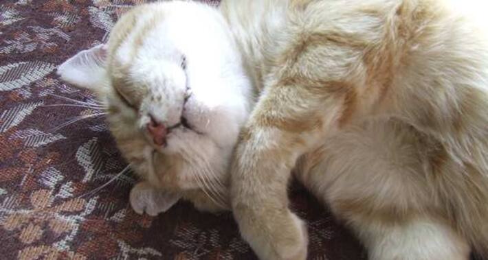 7 interesting facts about your belly button we bet you didn't know ...