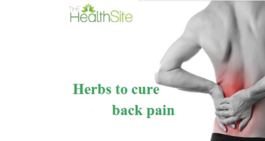 No more back pain with these natural remedies | TheHealthSite.com