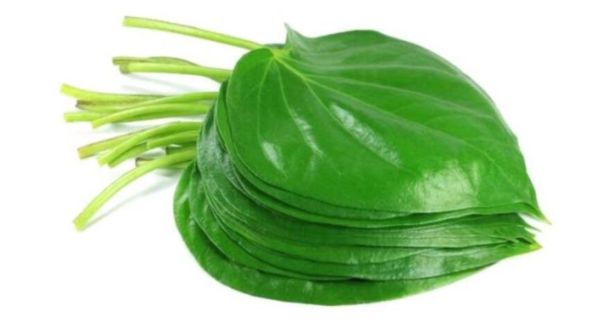 No more back pain with these natural remedies | TheHealthSite.com