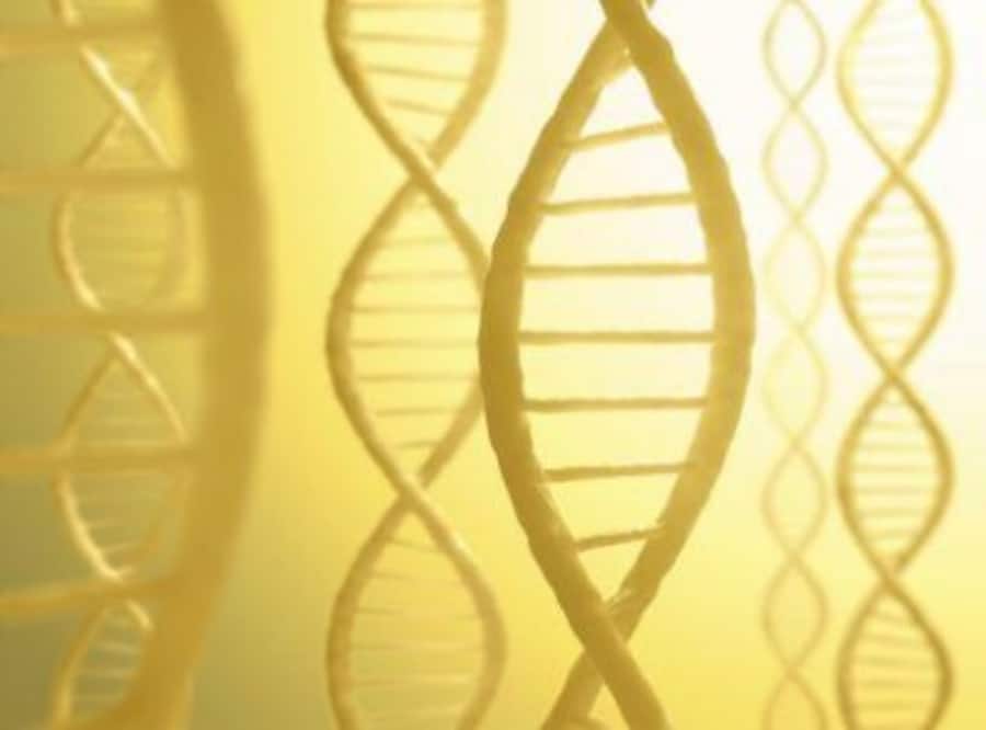 60 genetic problems lead to skin and nervous disorders: Research ...