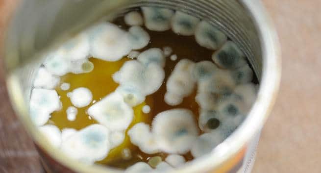 6 signs of spoiled or rotten food | TheHealthSite.com