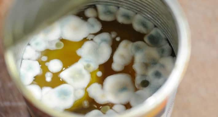 6 signs of spoiled or rotten food | TheHealthSite.com