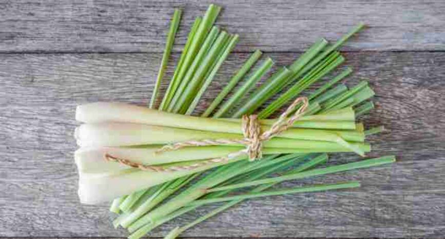 7 unique ways to use lemongrass to improve immunity, fight acne and ...