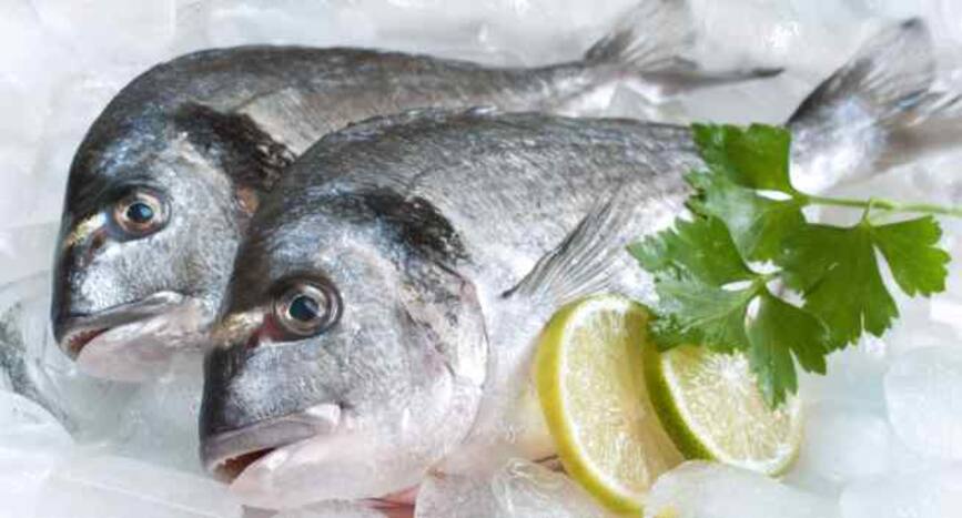 6 mistakes people commit when cooking fish | TheHealthSite.com