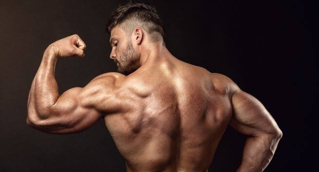 Fitness Plan Day 68: Here's the perfect gym exercise for killer triceps ...