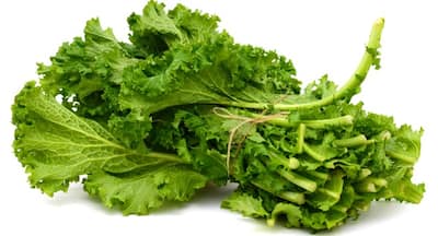 Health benefits of mustard greens or sarson saag | TheHealthSite.com