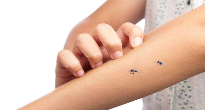 3 reasons why you are a mosquito magnet | TheHealthSite.com