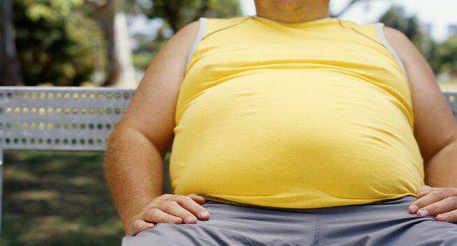 Scientists develop 'nutritional geometry' a new nutrition model to ...