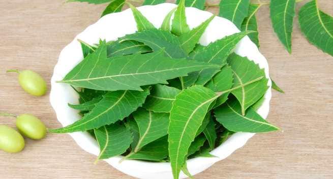 Why you must start using neem for healthy gums and teeth ...