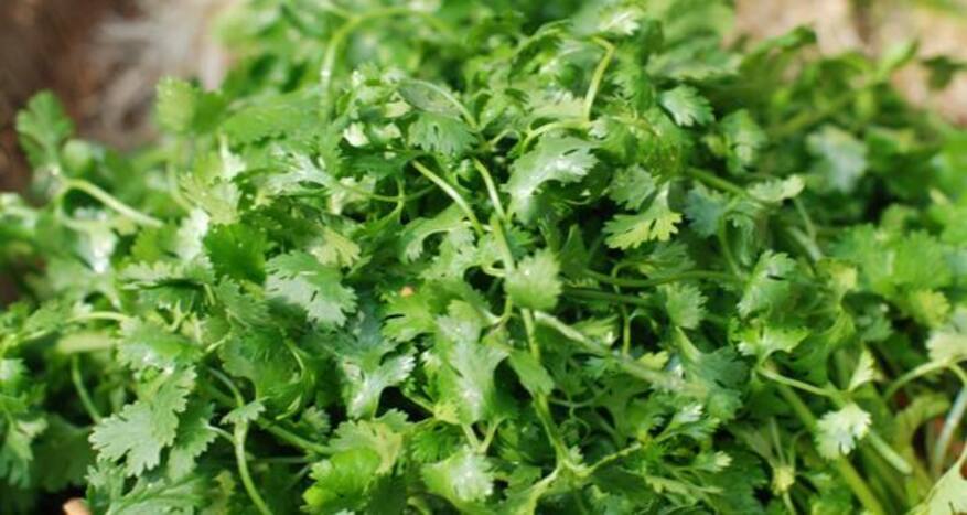 6 natural sources of diuretics to prevent edema, UTI and joint pain ...