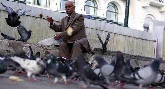 4 diseases caused by pigeon droppings | TheHealthSite.com