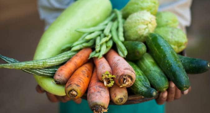 Do plant sources like vegetables and fruits contain cholesterol ...